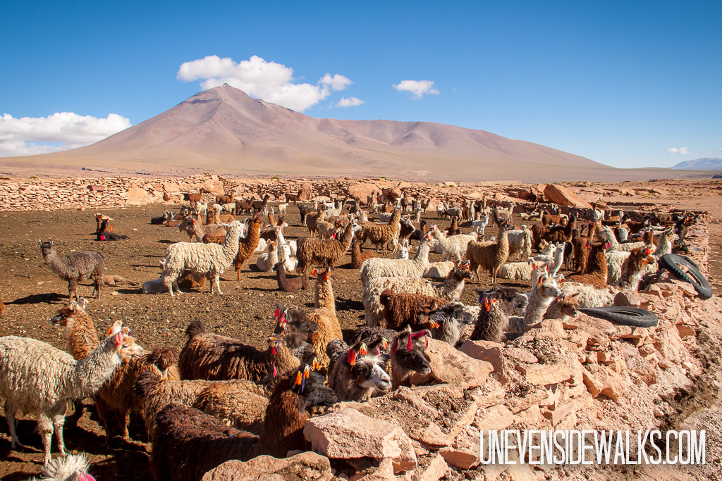 Why the Uyuni Salt Flat Tour Will Never Be Overrated | Uneven Sidewalks ...