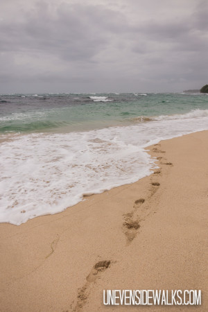 Zapatillo Island-Hopping Tour at Bocas del Toro | Uneven Sidewalks ...