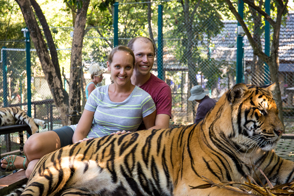Up Close with Tigers at Tiger Kingdom in Chiang Mai, Thailand | Uneven ...